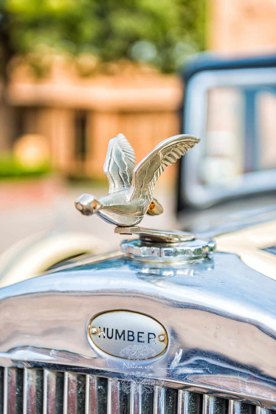 Naina.co Online Brand Building, Photography and Art by Naina Redhu ...