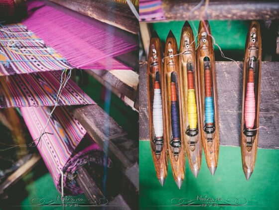 Ranikhet Kumaon Loom - Naina.co