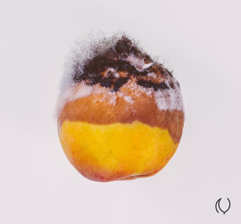 Portrait #RottenFruit - Naina.co