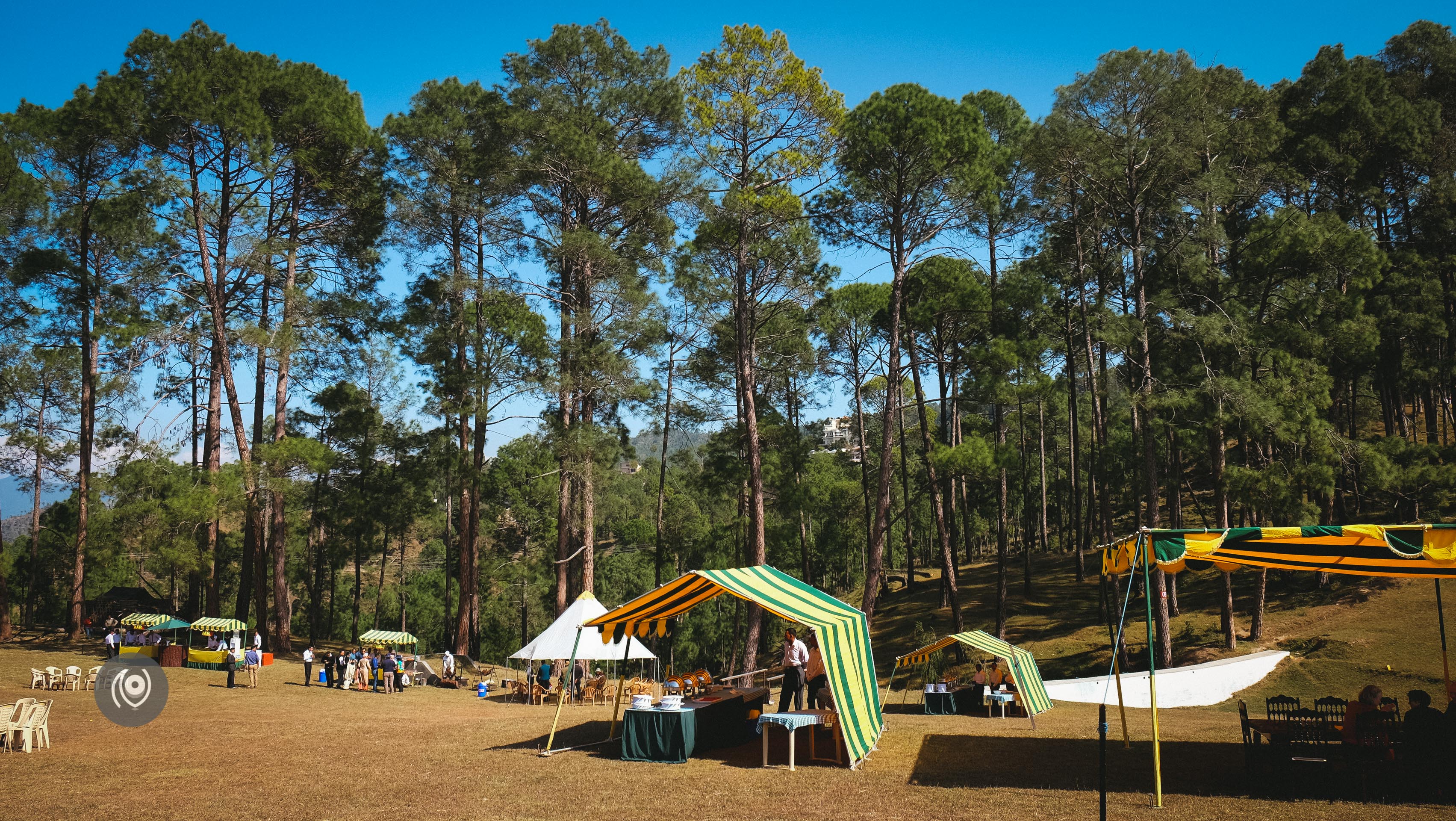 Naina.co Online Brand Building, Photography and Art by Naina Redhu ...