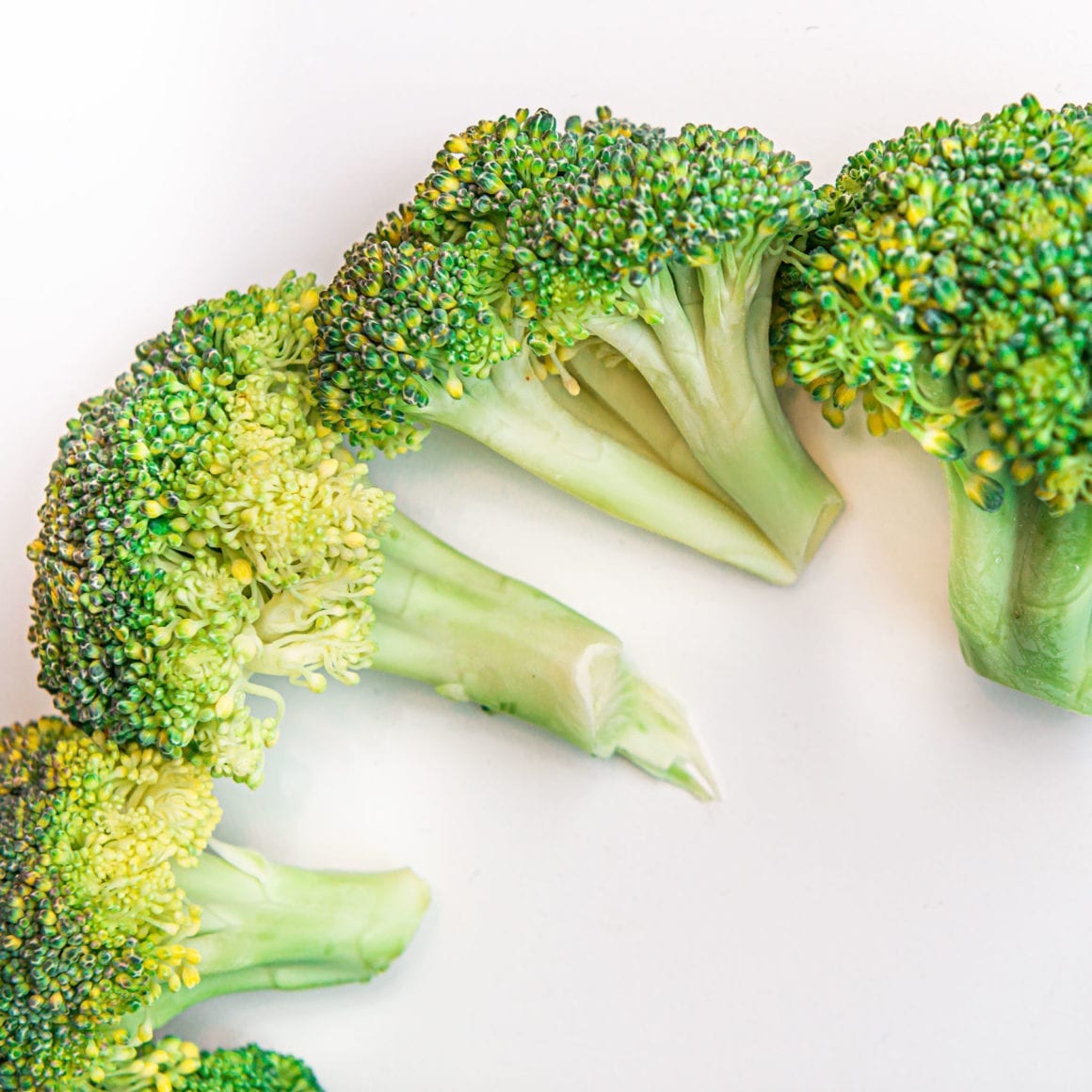 Naina.co Luxury, Travel, Fashion & Lifestyle Photographer in Adelaide ...