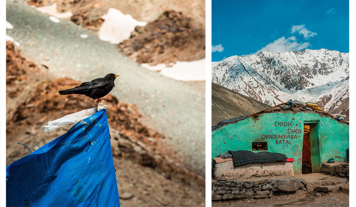 Spiti with Tethys Himalayan Den HomeStay, June 2021 - Naina.co