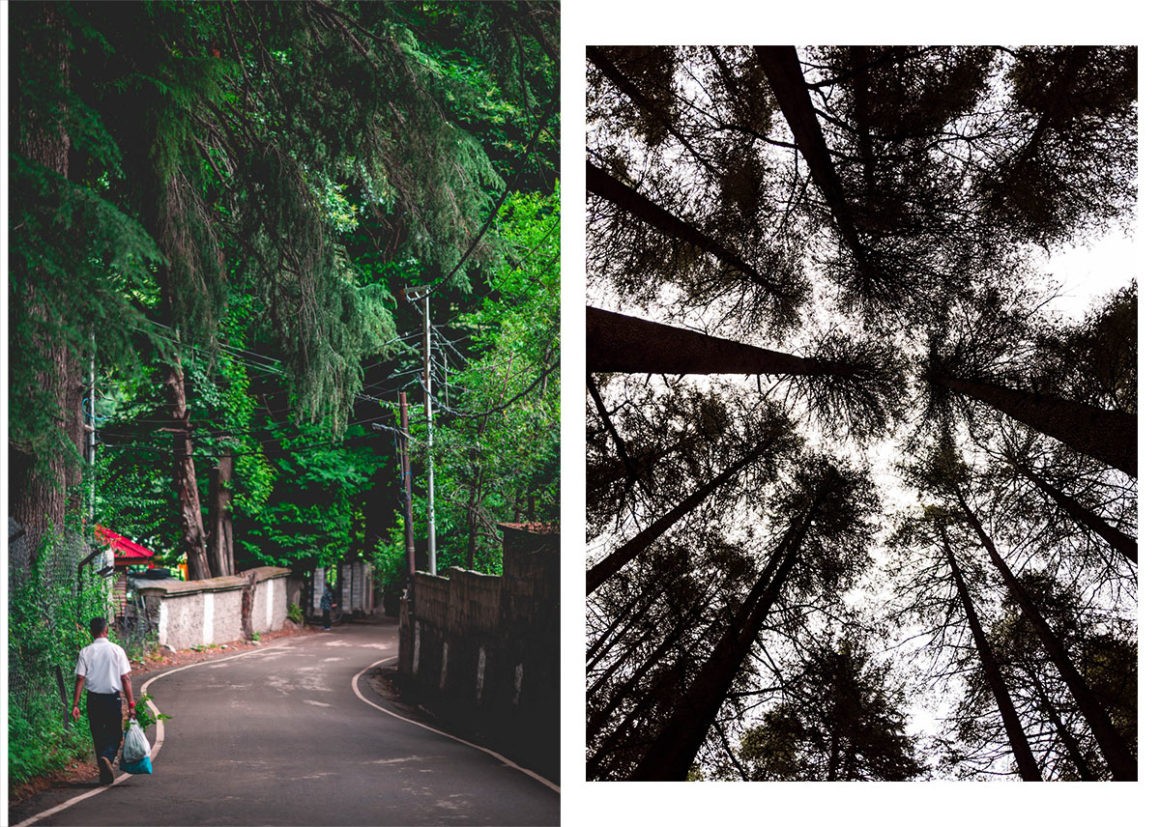 Spiti with Tethys Himalayan Den HomeStay, June 2021 – Naina.co