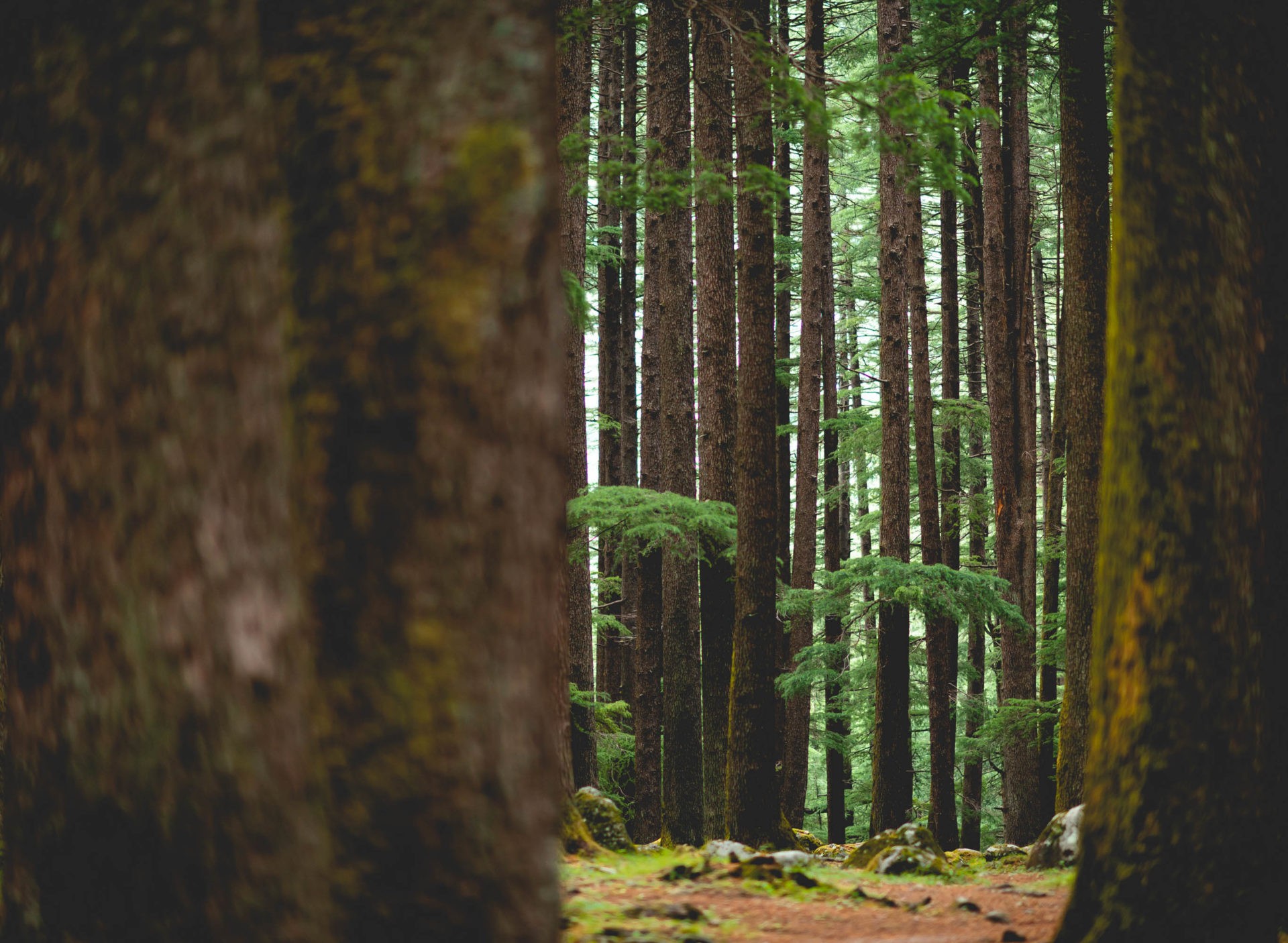 Spiti with Tethys Himalayan Den HomeStay, June 2021 – Naina.co