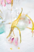 Dried Tulips - Naina.co