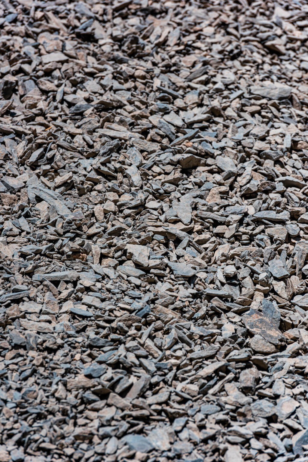 Tethys Himalayan Den, Chicham, Spiti, Himachal Pradesh, May 2023 # ...