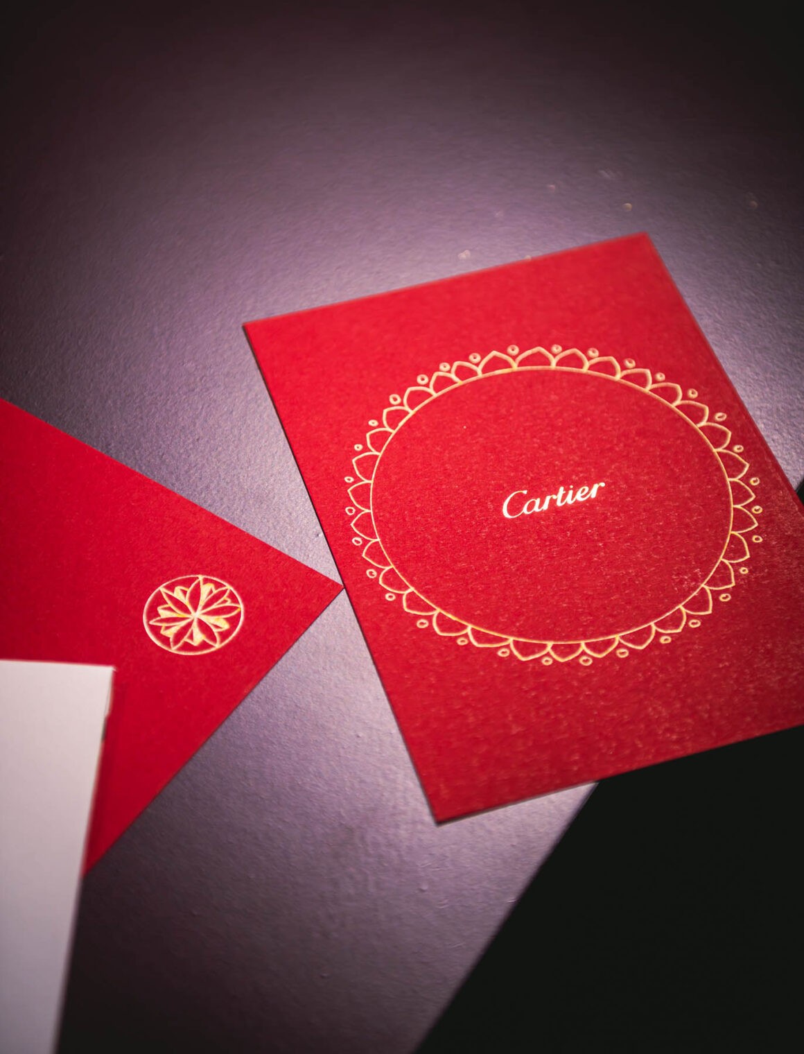 Cartier India Diwali Evening #EyesForLuxury - Naina.co