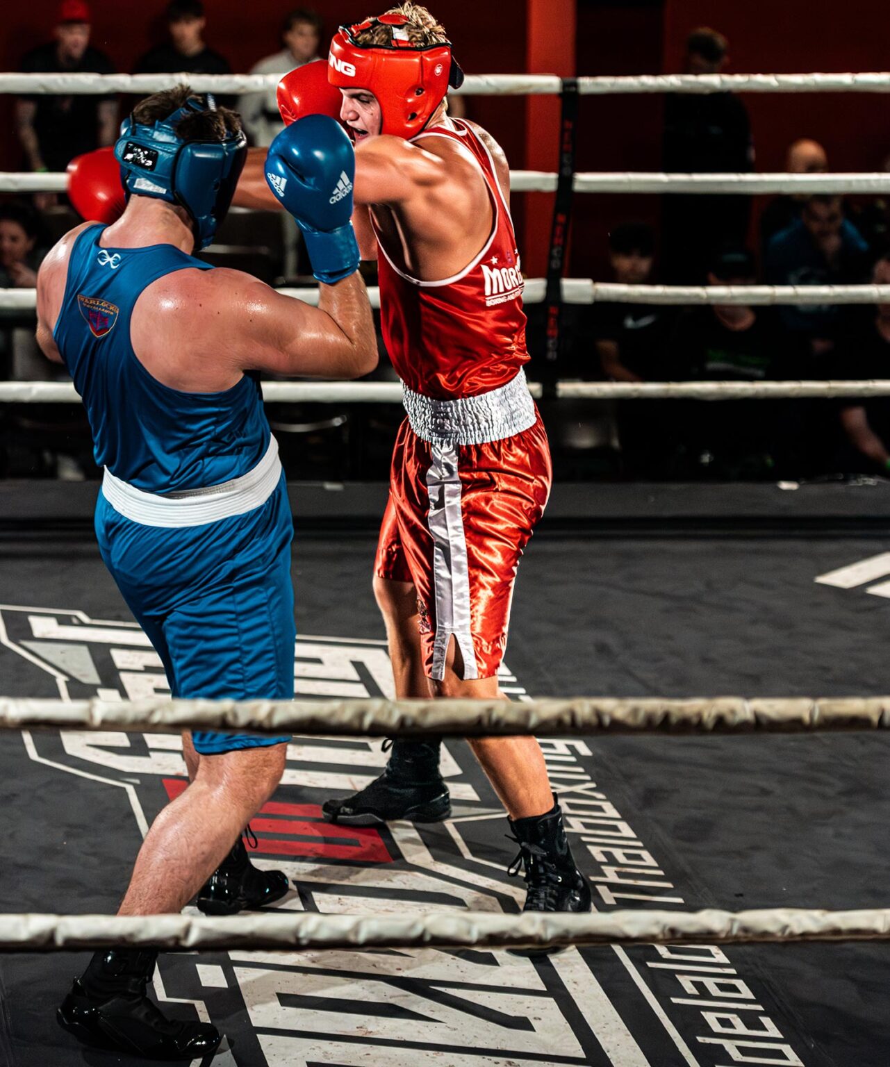 Baden Trunfio, Broome Boxing Club, at Dom Polski Centre for Boxing ...